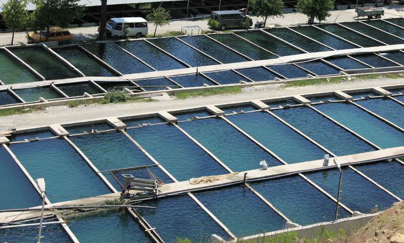 Borehole Repair Job at Fish Farm - Dales Water